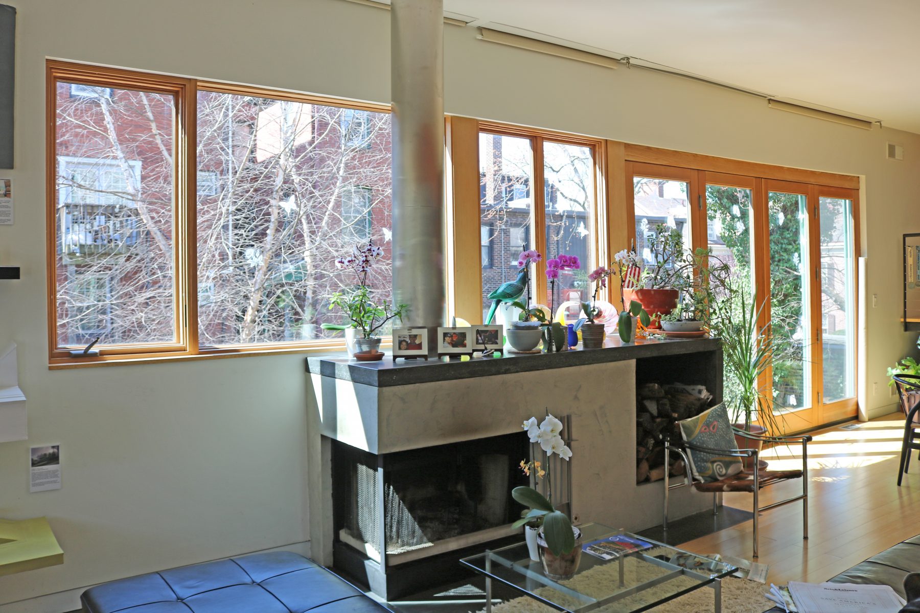 The Importance of Light and Sight in Our Buildings